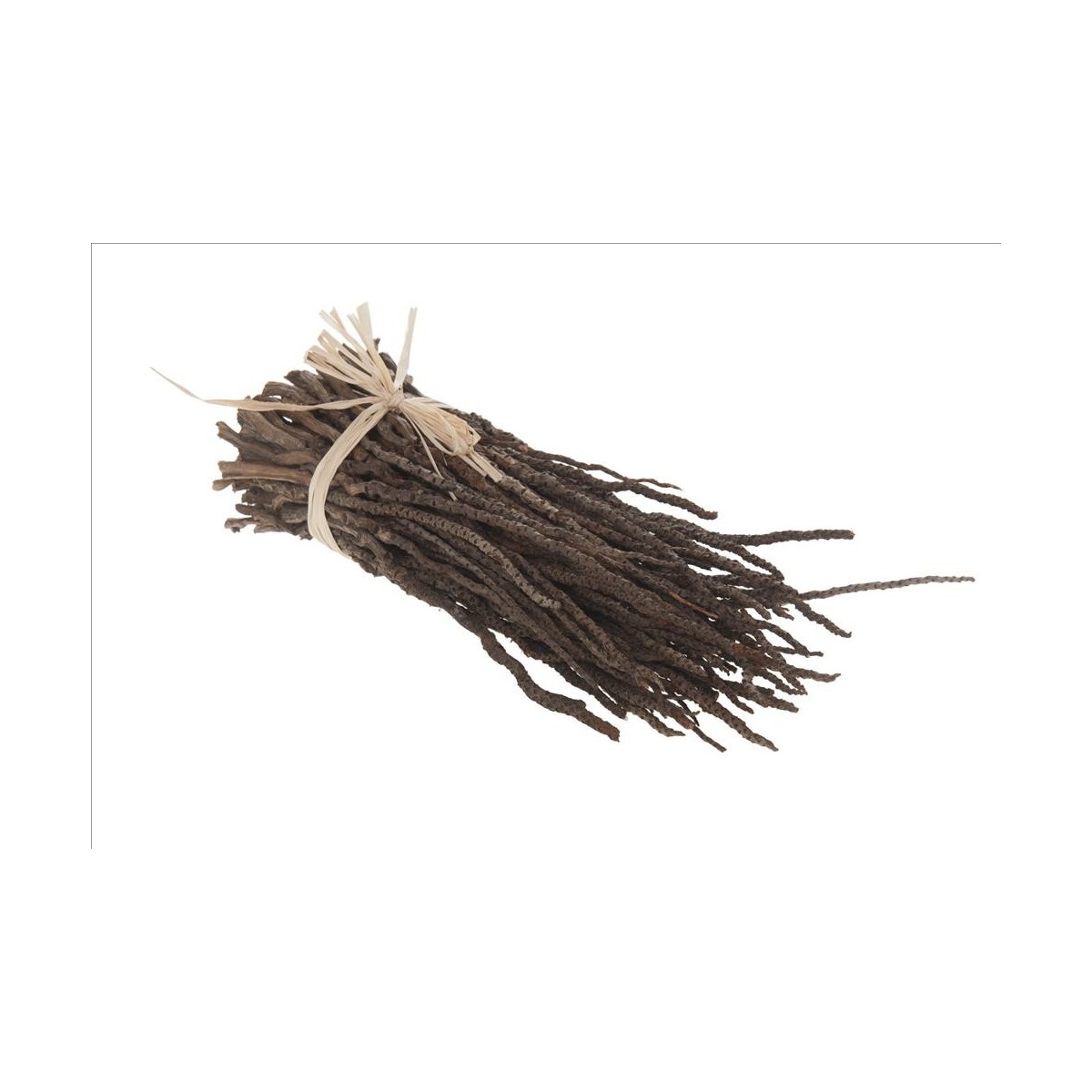 FAJO RAMITAS COCO FINGER 100pc Natural