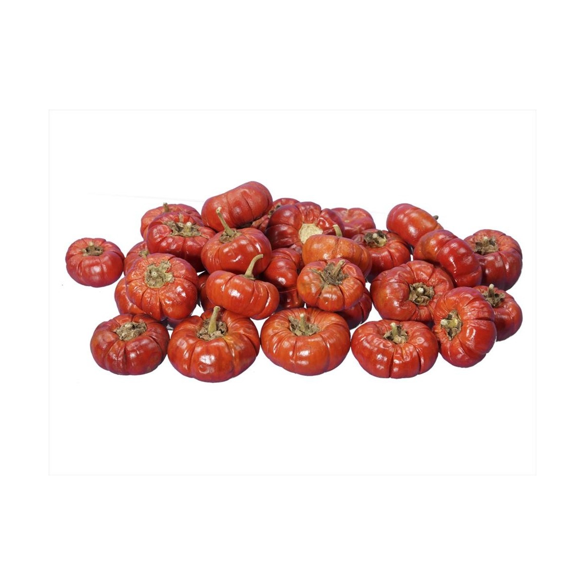 CALABAZAS MINI 1kg
