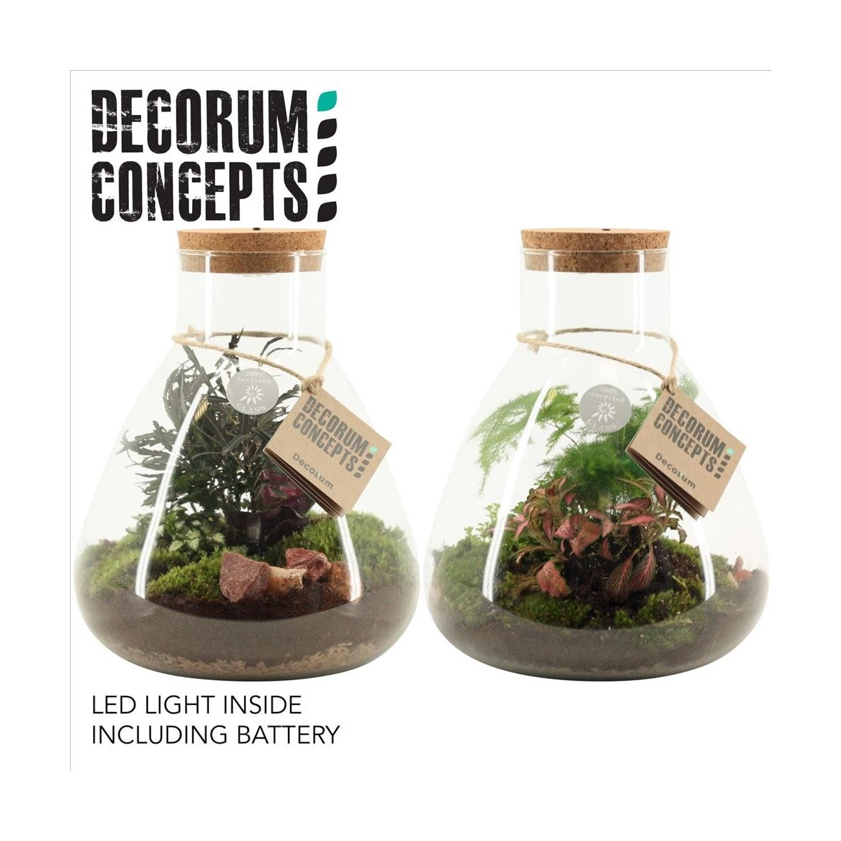 TERRARI PLANTA MINI LED DECORUM CONCEPTS D23 H30