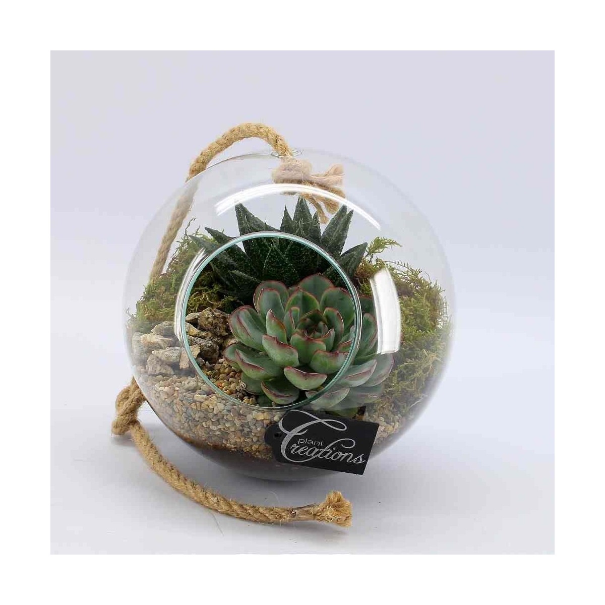 TERRARIUM BOLA PENJANT D20 H20