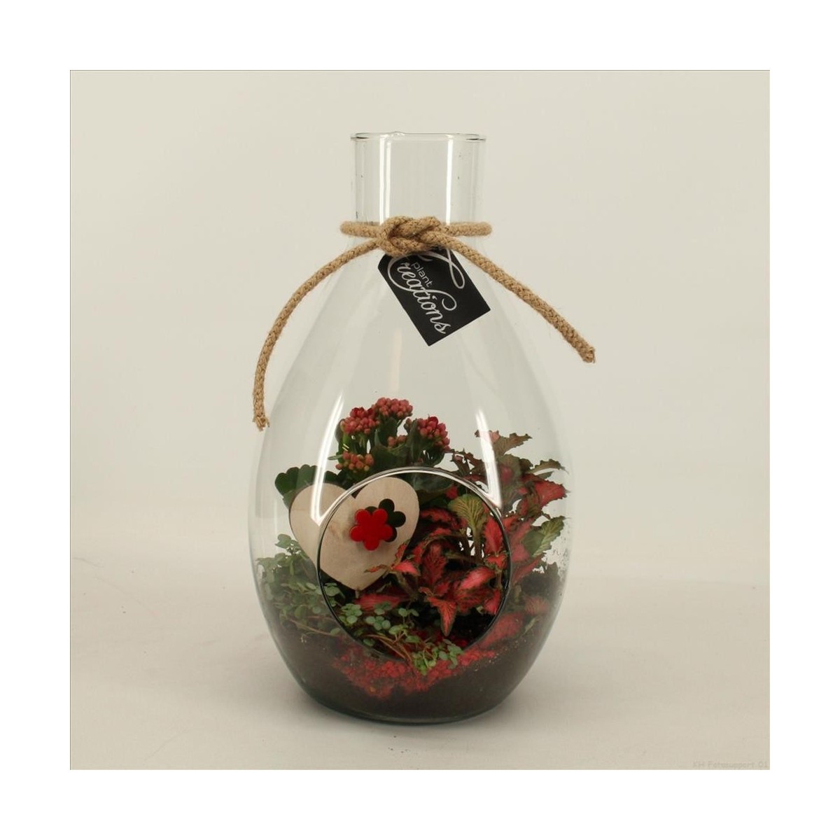 TERRARIO PLANTA MINI D17 H30 rojo