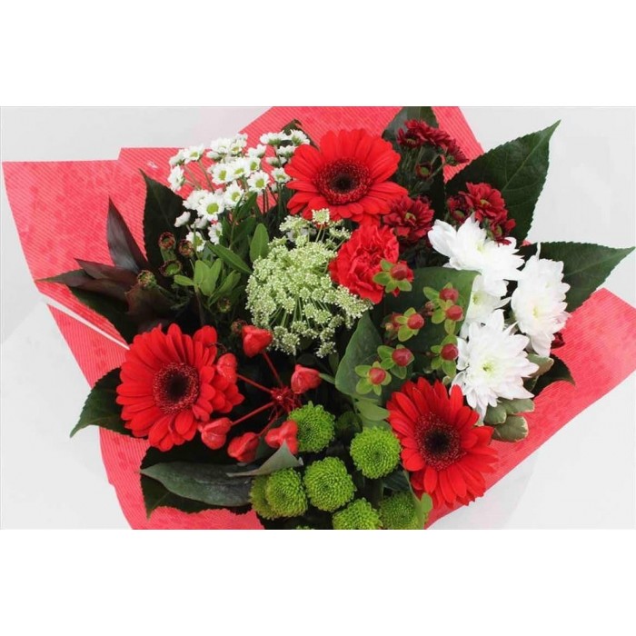 BOUQUET, GERMINI mix color.