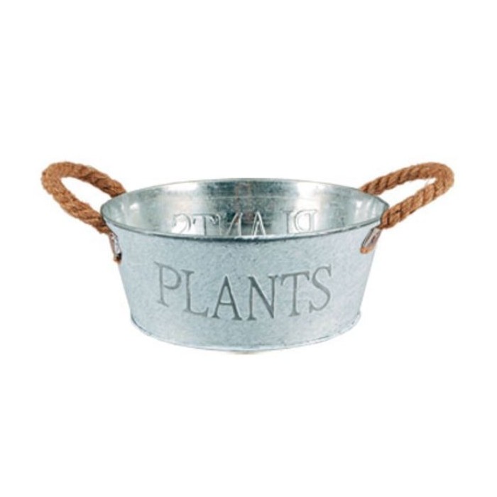 BOL ZINC D25 H9 PLANTS